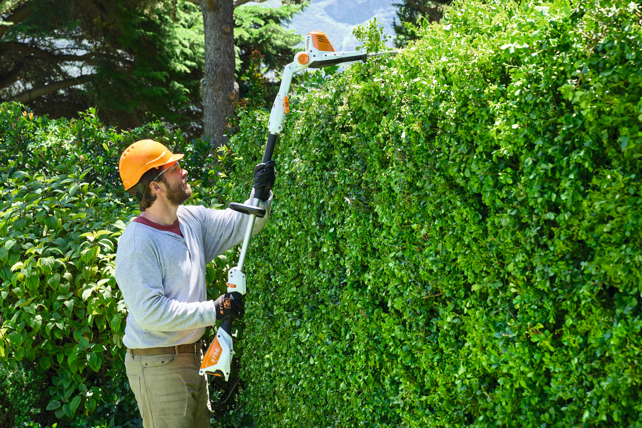 Trimming high hedges | tips and guidance | STIHL